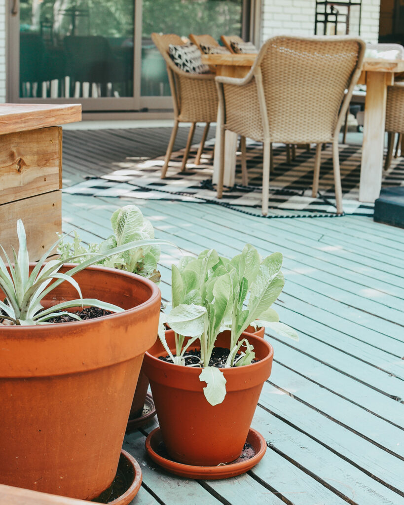 2021 Spring Deck Updates - The Charming Detroiter